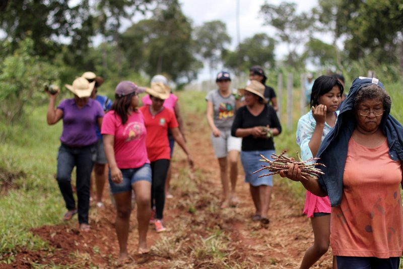 Mato Grosso do Sul produz carne às custas do sofrimento indígena, diz ...